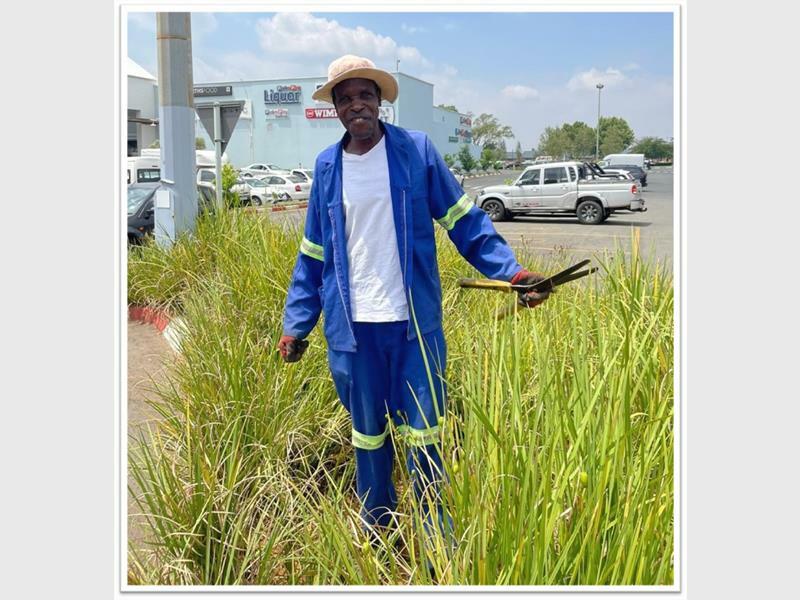 Lemon Tree gardener gets recognised for his exceptional work | Alberton ...