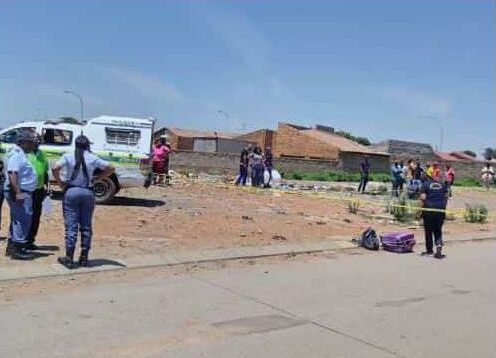 Pair in custody after body parts are found in suitcase they were pushing down the street ...