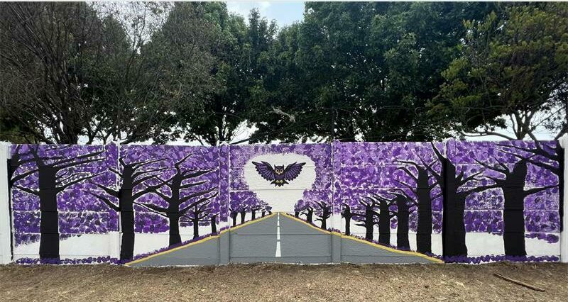 Arbor Primary School wins Clean Projects’ schools mural competition ...