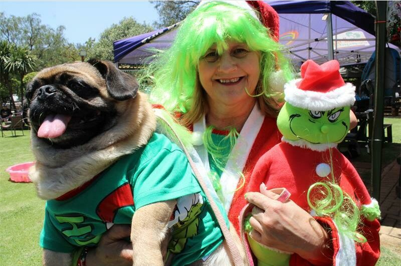 Pug Rescue kicks off a ‘yappy’ festive season | Benoni City Times