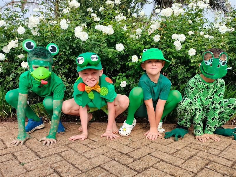 Learners have frog-tastic leap year celebration | Benoni City Times
