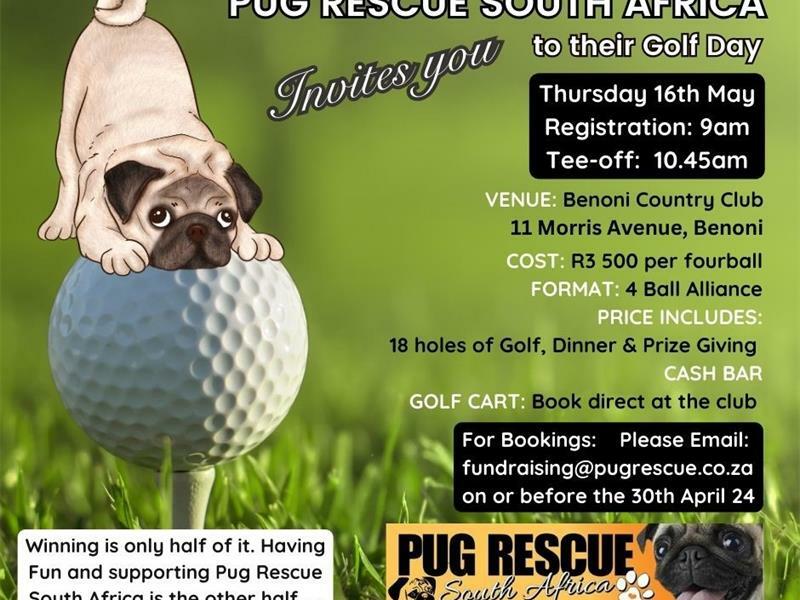 Tee off for a pug | Benoni City Times