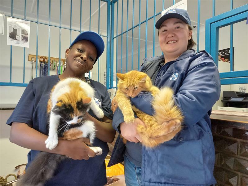 Benoni SPCA welcomes new staff members | Benoni City Times