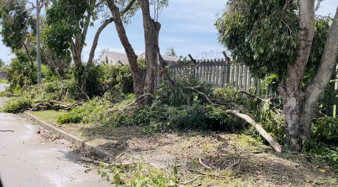 Flash storm wreaks havoc in Durban | Berea Mail