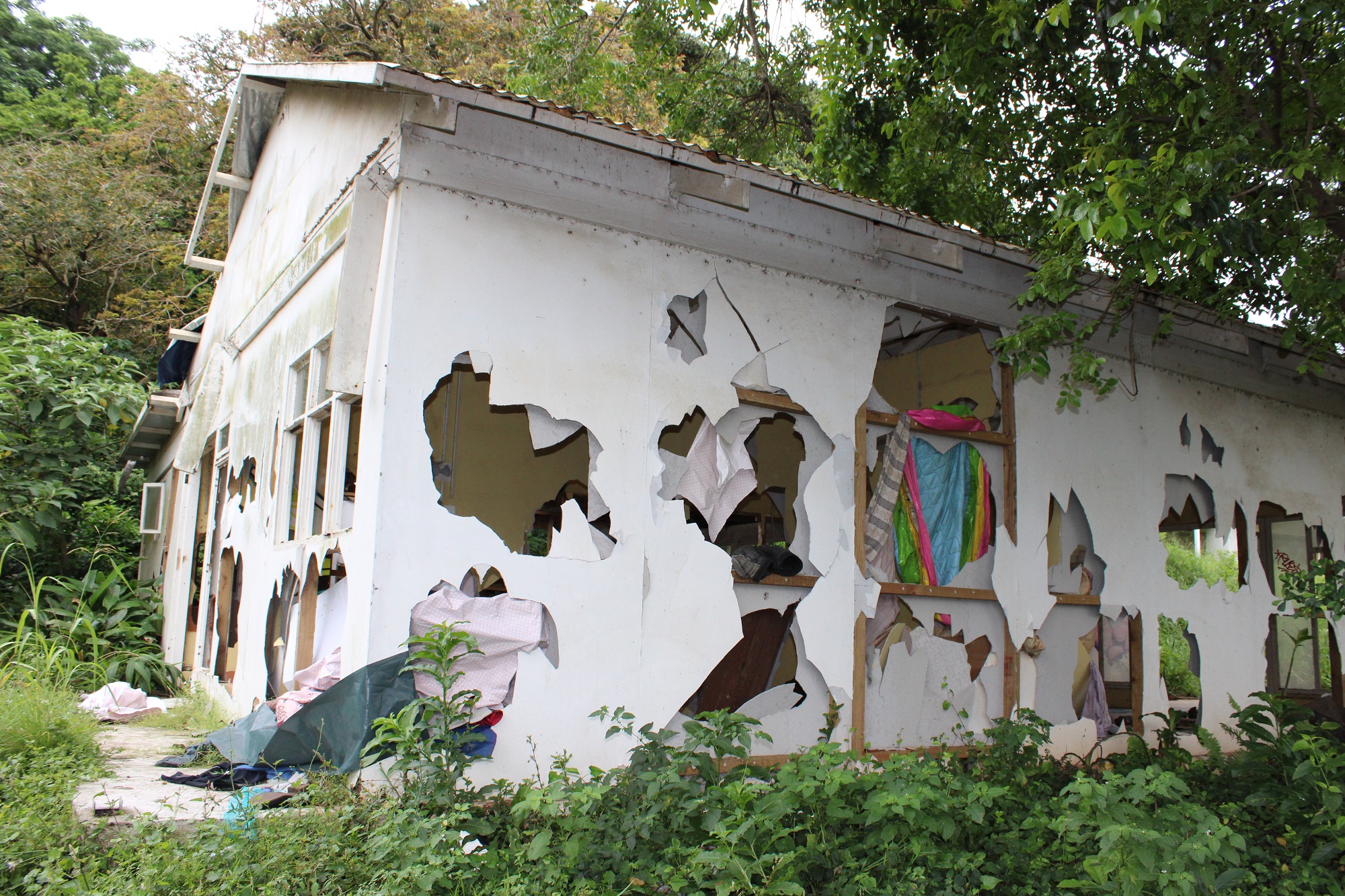 Vause Road nursery site remains an eyesore in Musgrave | Berea Mail