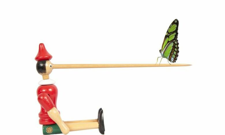 Why do kids lie and what can parents do about it - Boksburg Advertiser