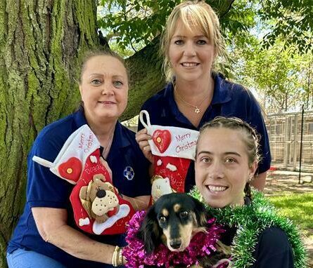 SPCA in good cheer as fund exceeds target | Boksburg Advertiser