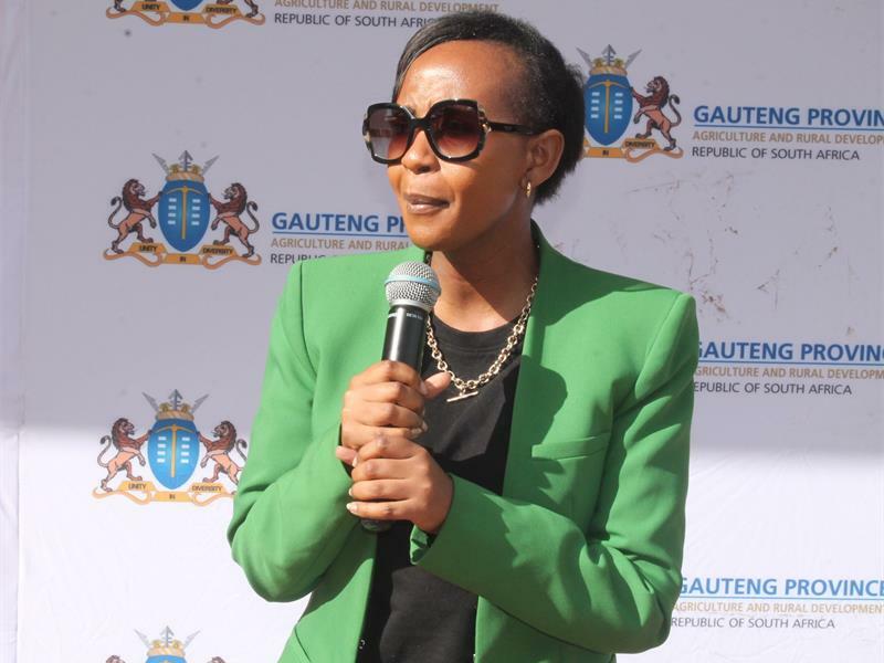 NPOs to know their fate on GDSD funding applications | Boksburg Advertiser