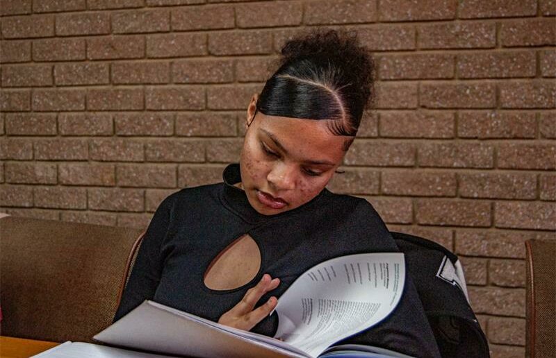 Reiger Park showcases vibrant youth art | Boksburg Advertiser