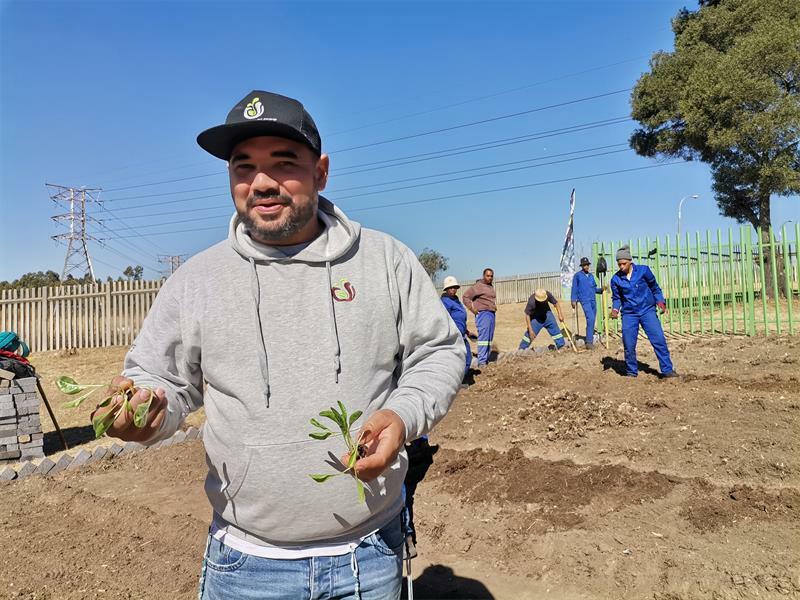 WATCH: Vegetable garden project empowers learners | Boksburg Advertiser
