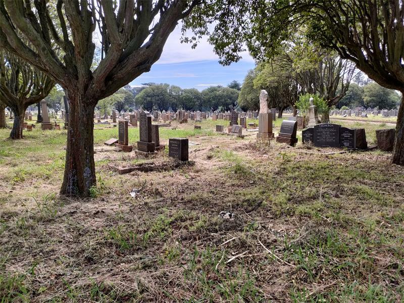 Cemetery still in need of care | Brakpan Herald