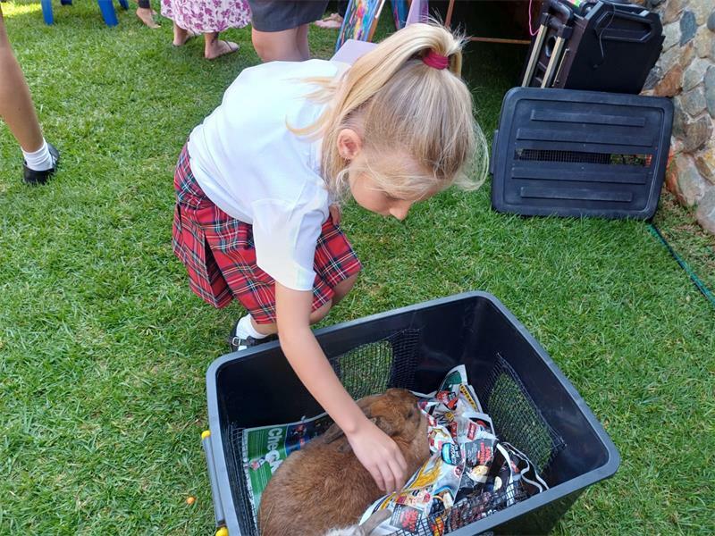 ExED Private School learners encounter exotic animals | Brakpan Herald