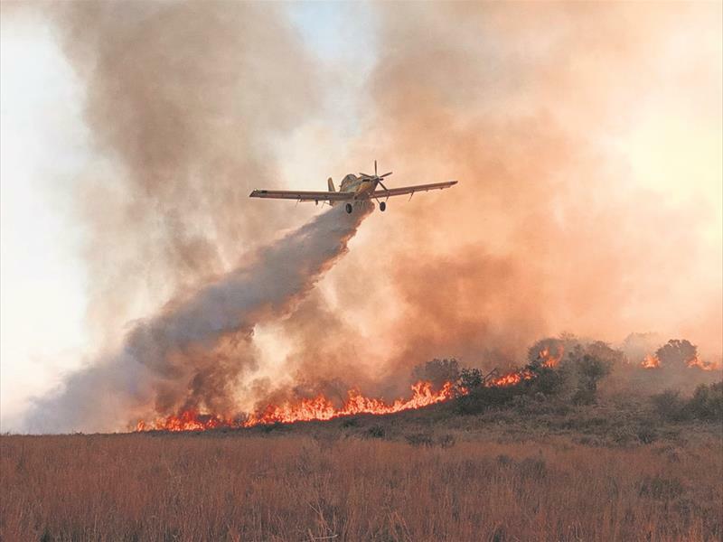 Veld fires cause massive damage | Carletonville Herald