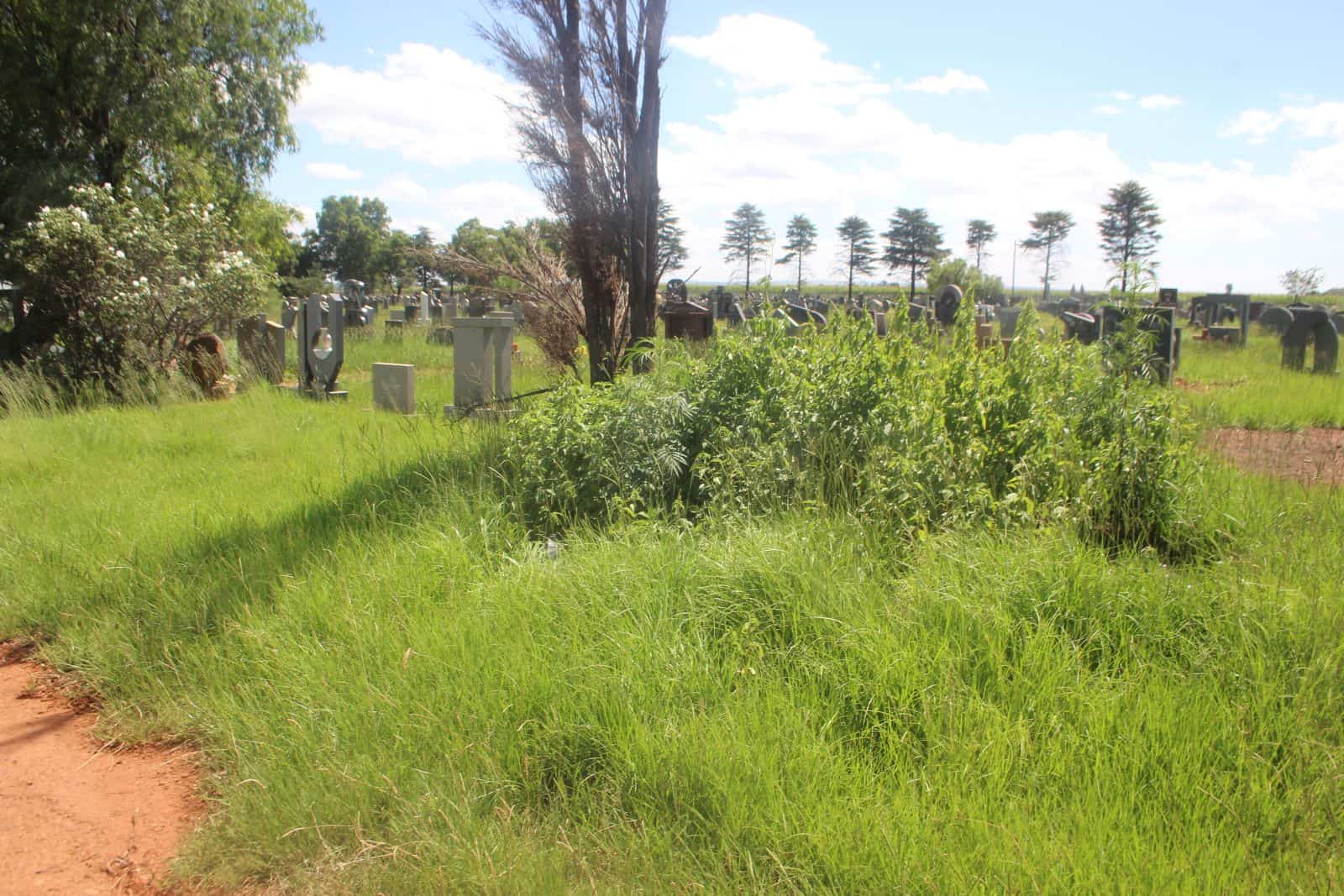 Carletonville Graveyard badly overgrown and dirty | Carletonville Herald