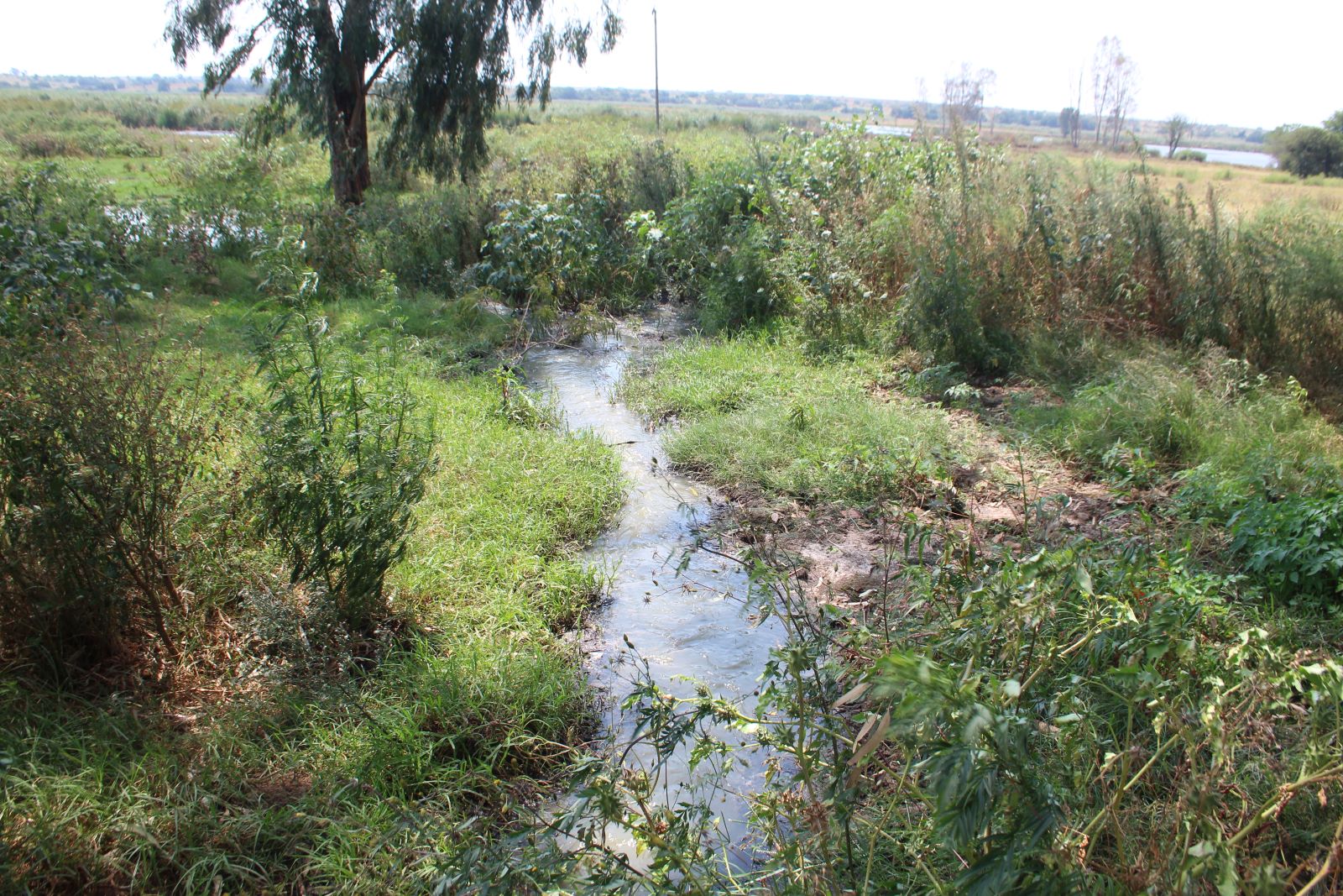 Municipality ignores huge sewage leak | Carletonville Herald