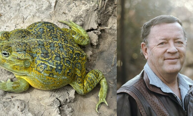 NWU prof ontdek grootste padda in 100 jaar | Carletonville Herald