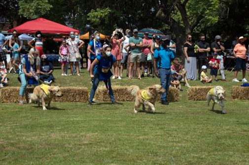 Join the SA Guide dogs for a family fun day | Fourways Review