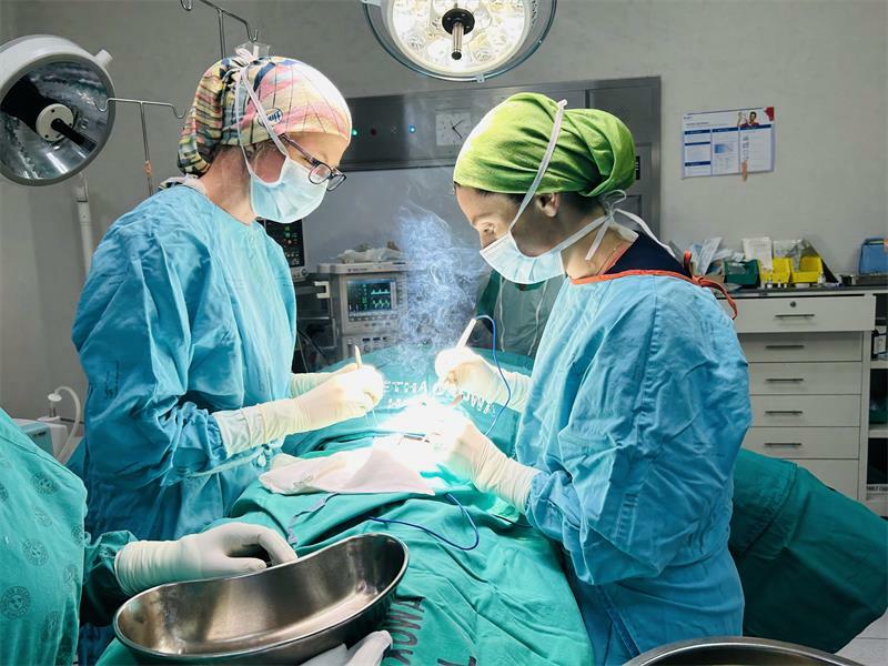 Bertha Gxowa Hospital celebrates love in a unique way | Germiston City News