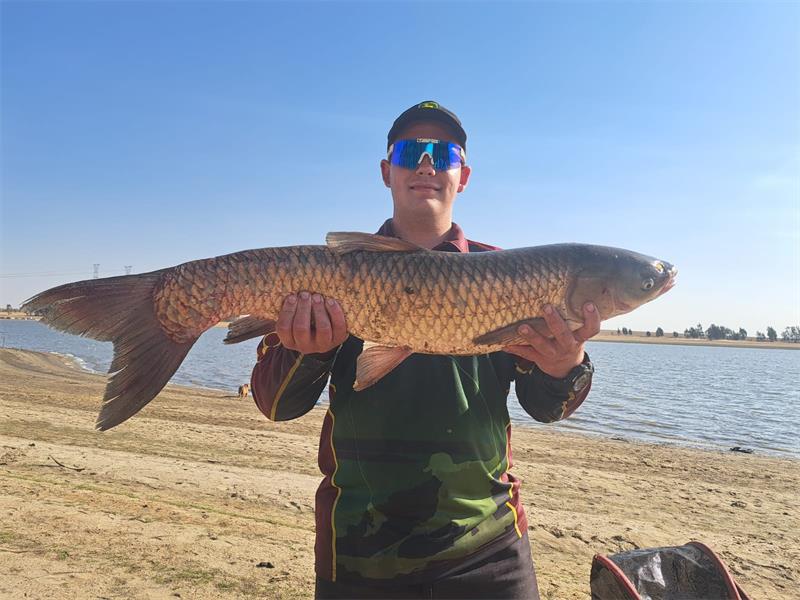 Katrolle sing by Balfour Hengelklub kompetisie | Heidelberg Nigel Heraut