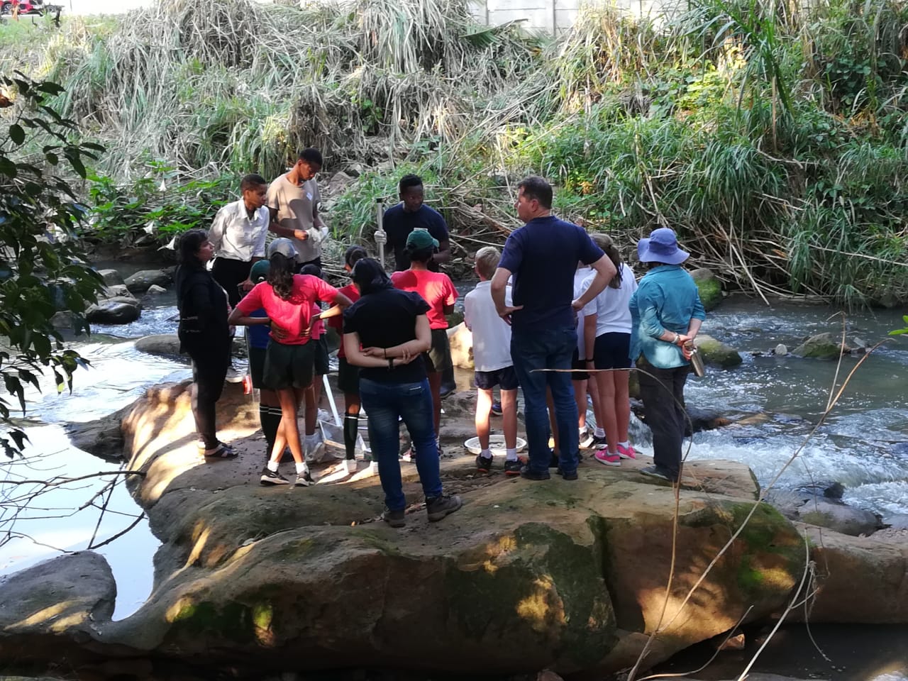 Palmiet Catchment Schools event encourages learners to take up citizen ...