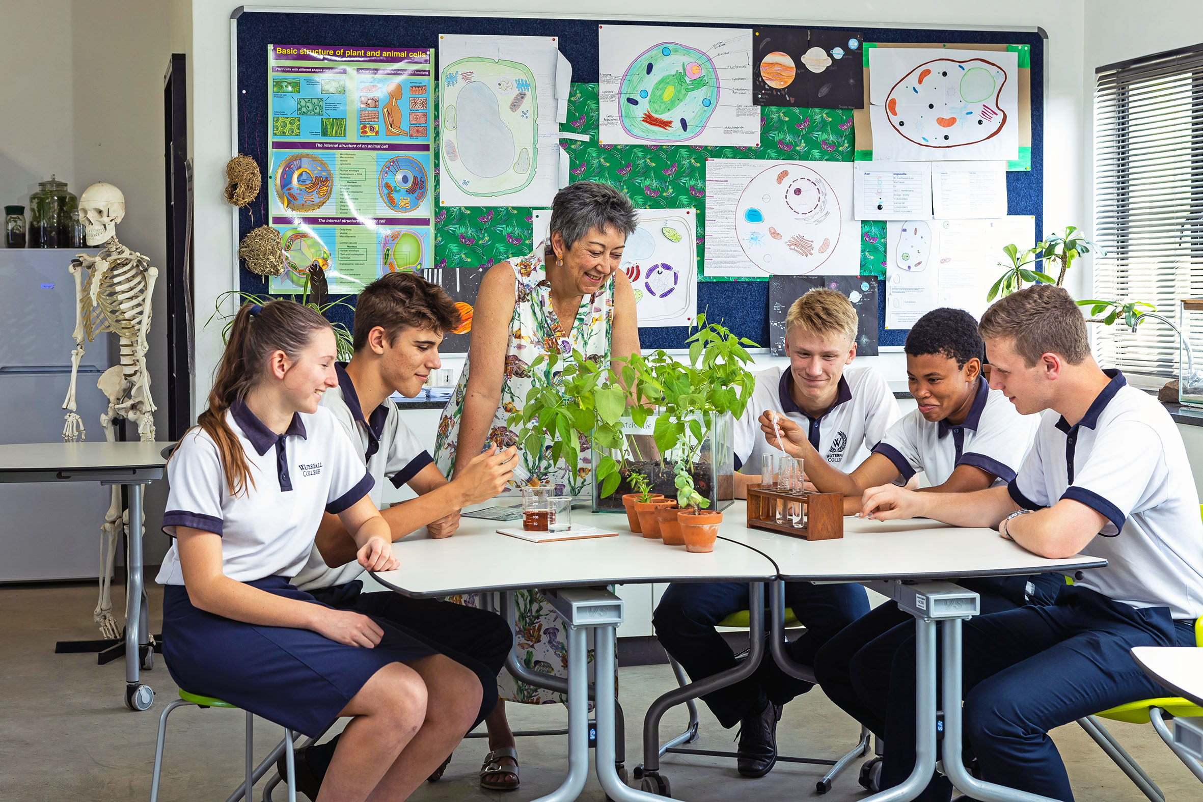 Waterfall Schools | Highway Mail