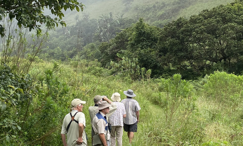 Hillcrest Conservancy announces return of guided bird walks | Highway Mail