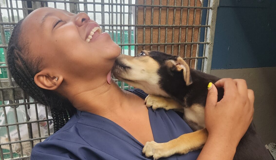 Kloof SPCA helps prevents unwanted litters | Highway Mail