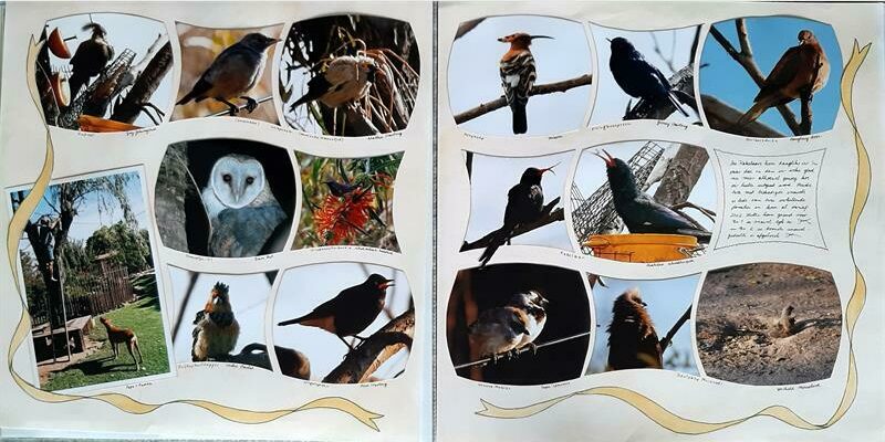 Friends of the Kempton Park Library invites locals to scrapbooking ...