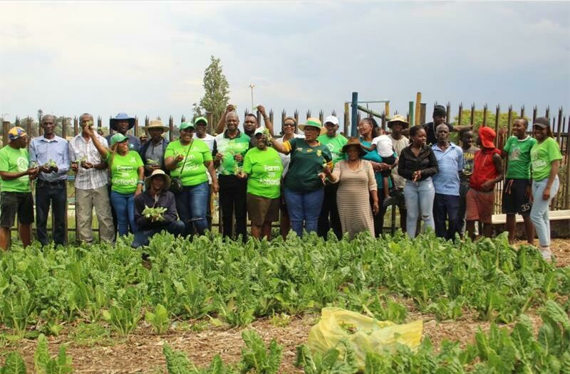 Food security project coming to Kagiso
