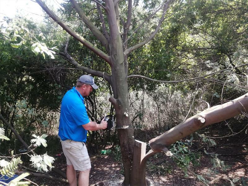 Cleaning the community is just one step closer to a better community