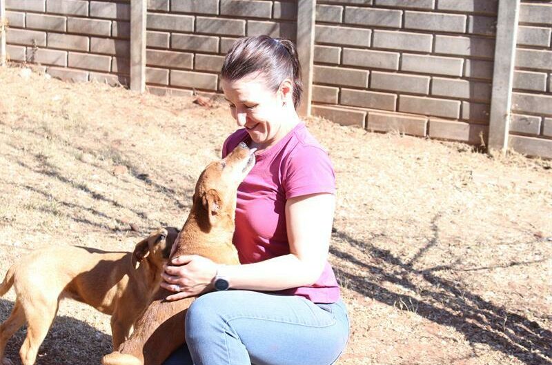 New hope for animals in need at 9th Day | Krugersdorp News