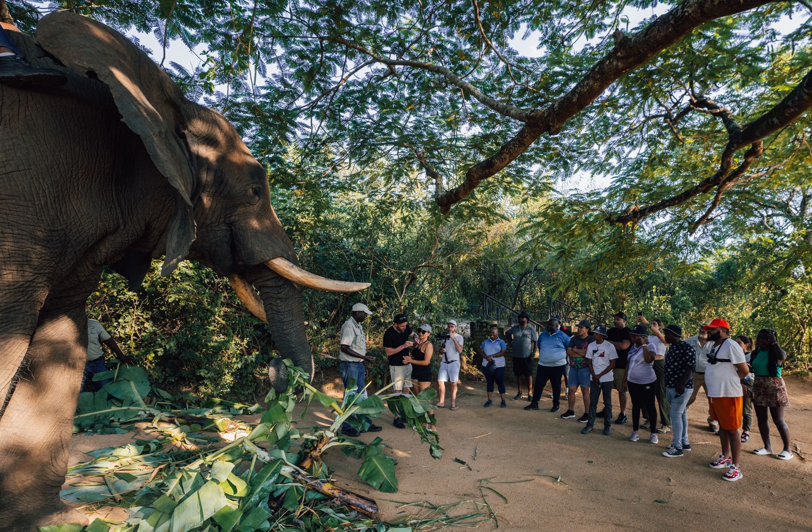 Tourists experience the beauty of Limpopo | Letaba Herald