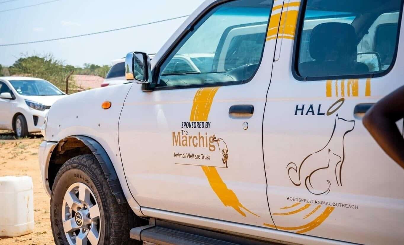 HALO vaccinates 2 286 dogs against rabies | Herald