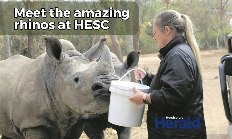 Meet the amazing rhinos at HESC | Herald
