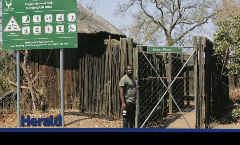 Sleep among wildlife at Mopani’s Shipandani Hide | Letaba Herald