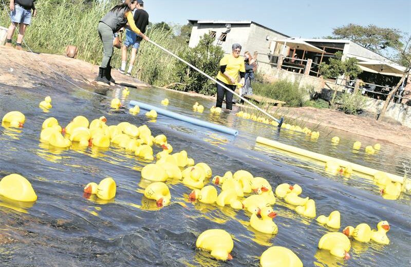 Rubber duck race in aid of aspiring model | Lowvelder