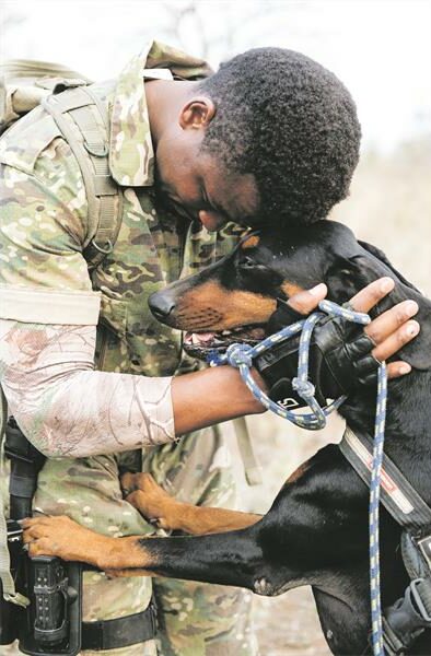 Documentary profiles K9 anti-poaching units in Kruger and elsewhere | Lowvelder