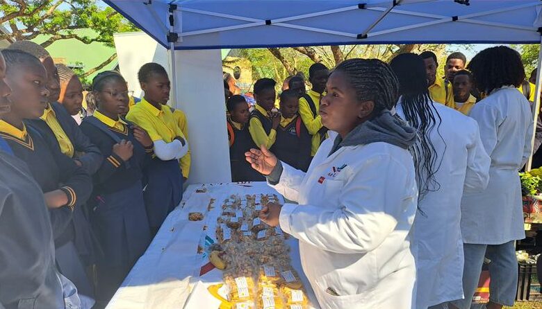 Penreach hosts National Science Week | Lowvelder