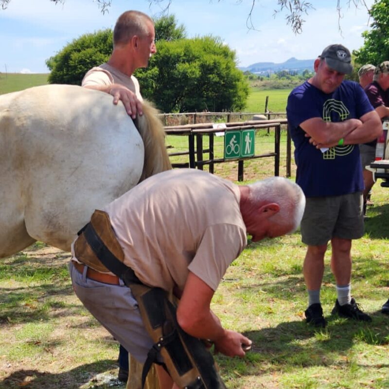 Plaaspret uit die boonste rakke soos net Lydenburg kán | Lowvelder