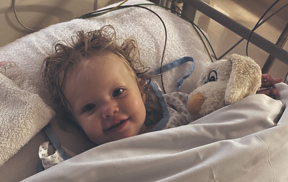 Agter die kap van die byl by slangbytteengif ná kind deur spoegkobra ...