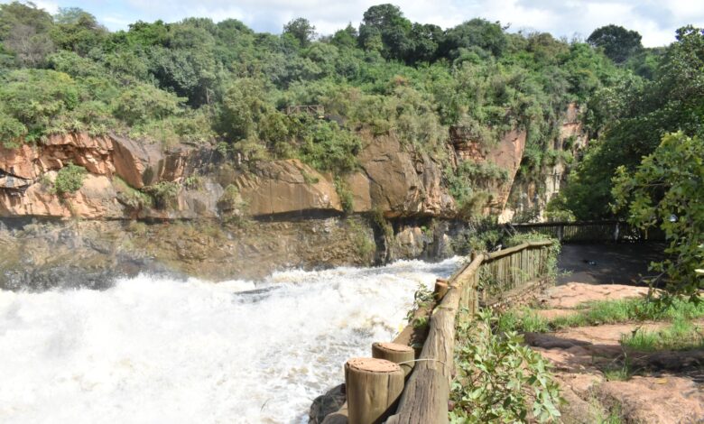 WATCH: Lowveld National Botanical Garden's The Cascades at full ...