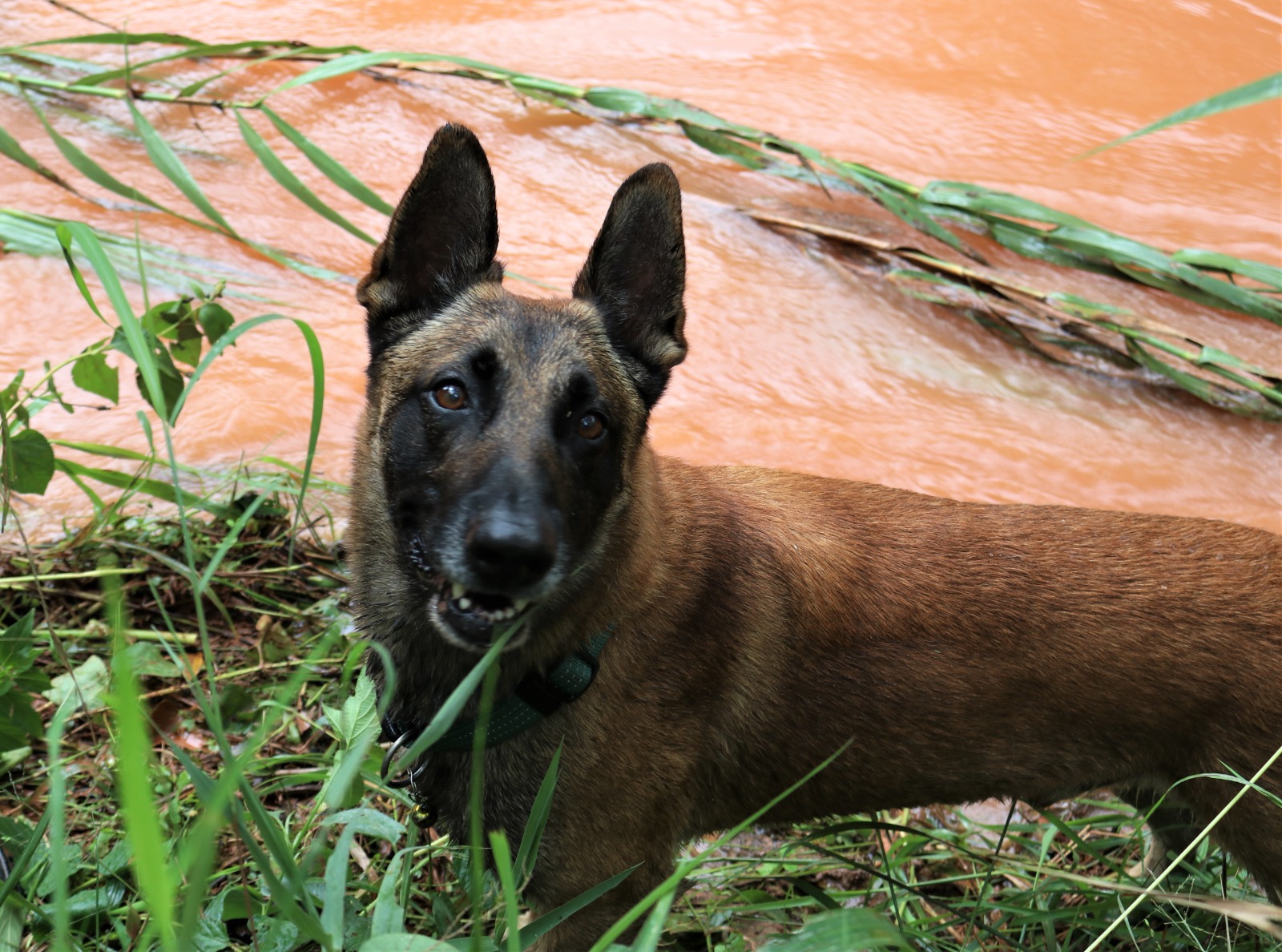 Eight confirmed drownings in floods across Ehlanzeni | Lowvelder