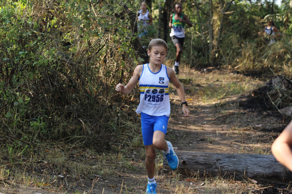 Ehlanzeni's best cross-country athletes show their speed at Primkop Dam ...
