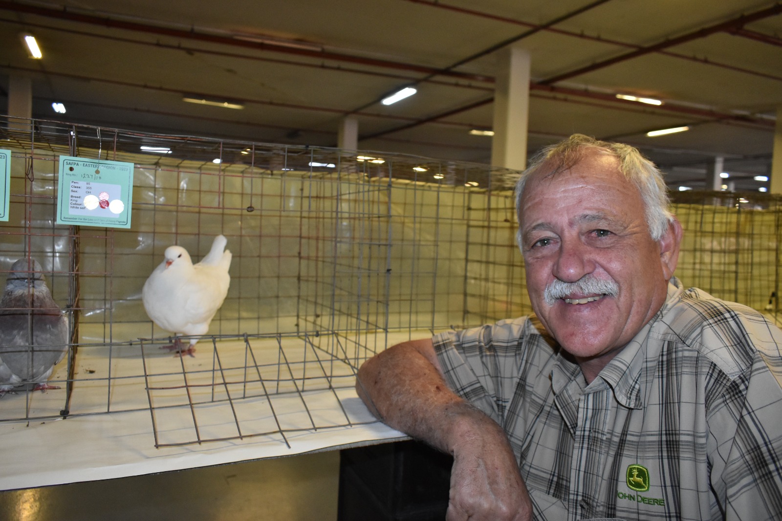 Fancy Pigeon Show a magnificently feathered affair for the Lowveld ...