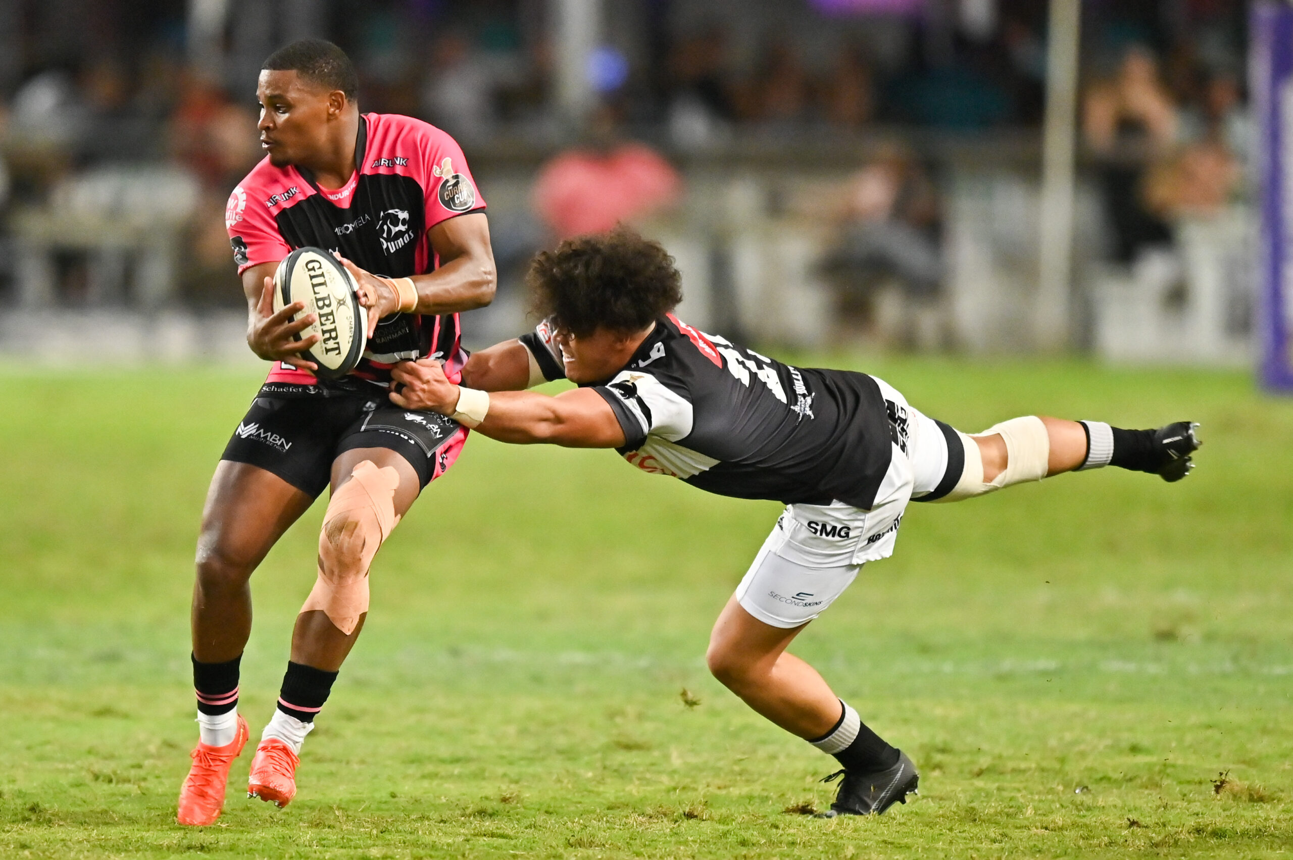 Cheetahs and Pumas ready for final battle in Currie Cup war | Lowvelder