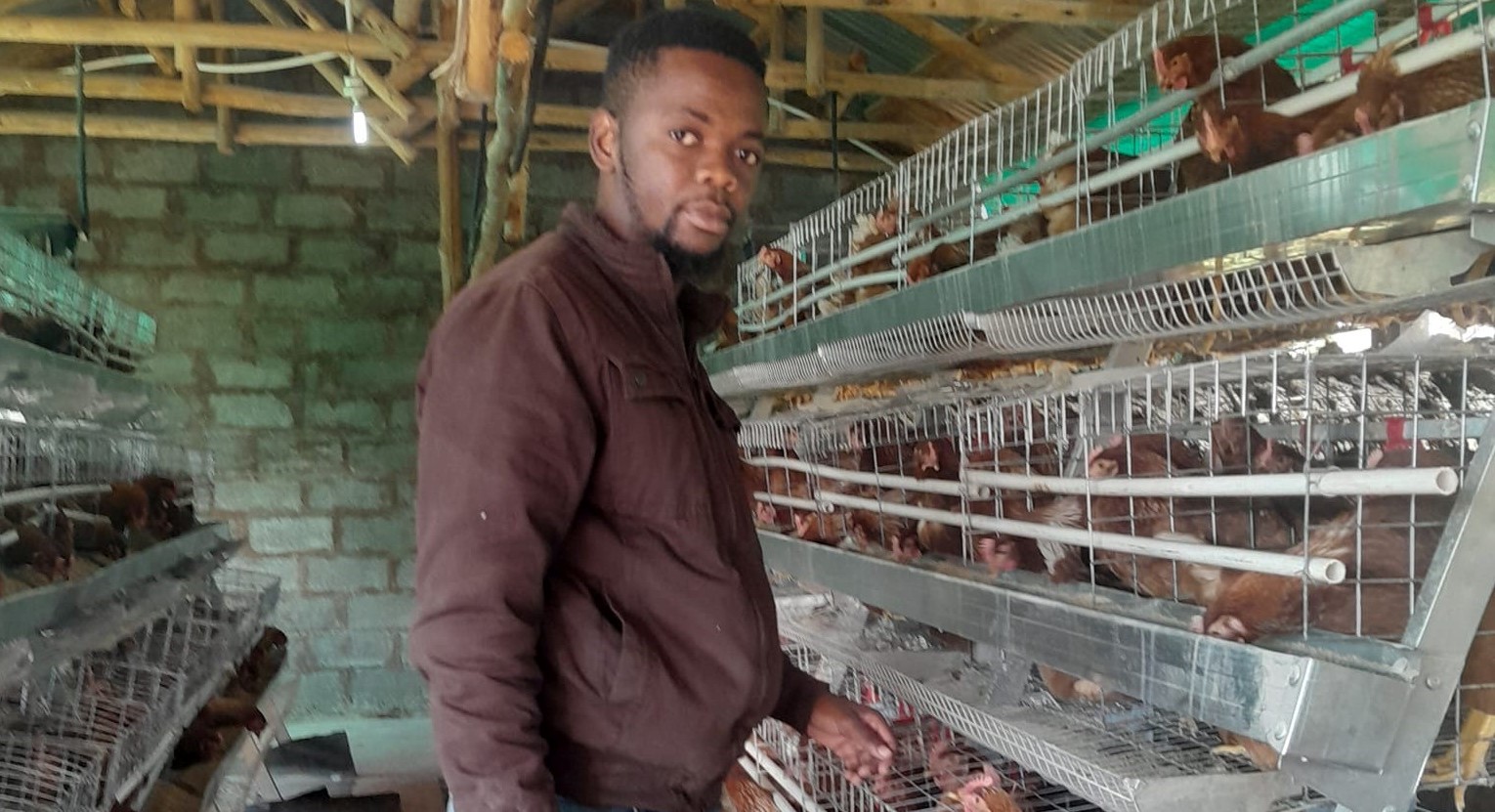 Young Tubatse farmer excel in poultry and crop farming | Lowvelder