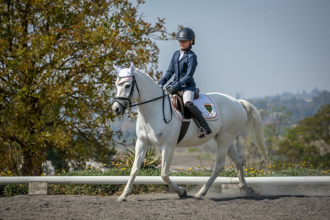 Mpumalanga and Limpopo equestrians celebrate Uplands Equestrian Centre ...