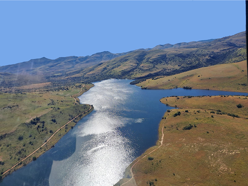 Ohrigstad Dam tested for fungal fish disease | Lowvelder