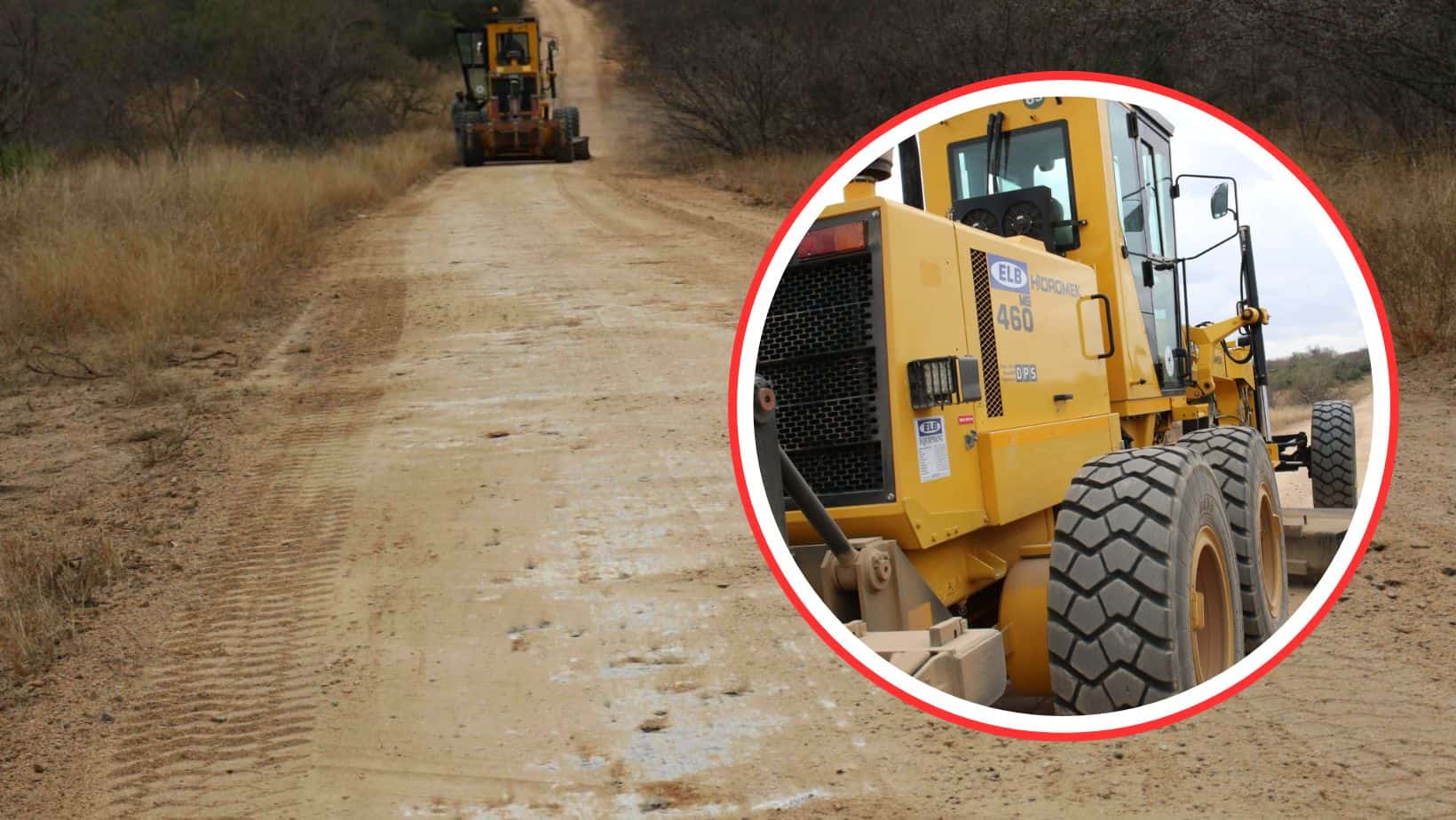 Smooth sightings ahead as KNP gears up for the festive season | Lowvelder