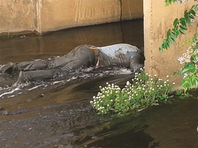 Update: Floating body identified. | Middelburg Observer Update: Floating body identified. | Middelburg Observer
